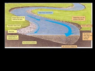 L4 ap middle and lower course features | PPTX