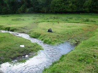 L4 ap middle and lower course features | PPTX