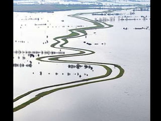 L4 ap middle and lower course features | PPTX