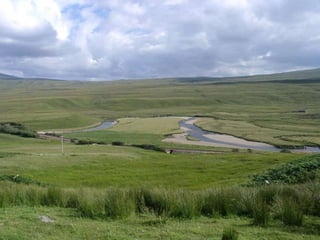 L4 ap middle and lower course features | PPTX