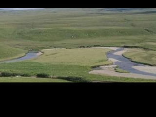 L4 ap middle and lower course features | PPTX