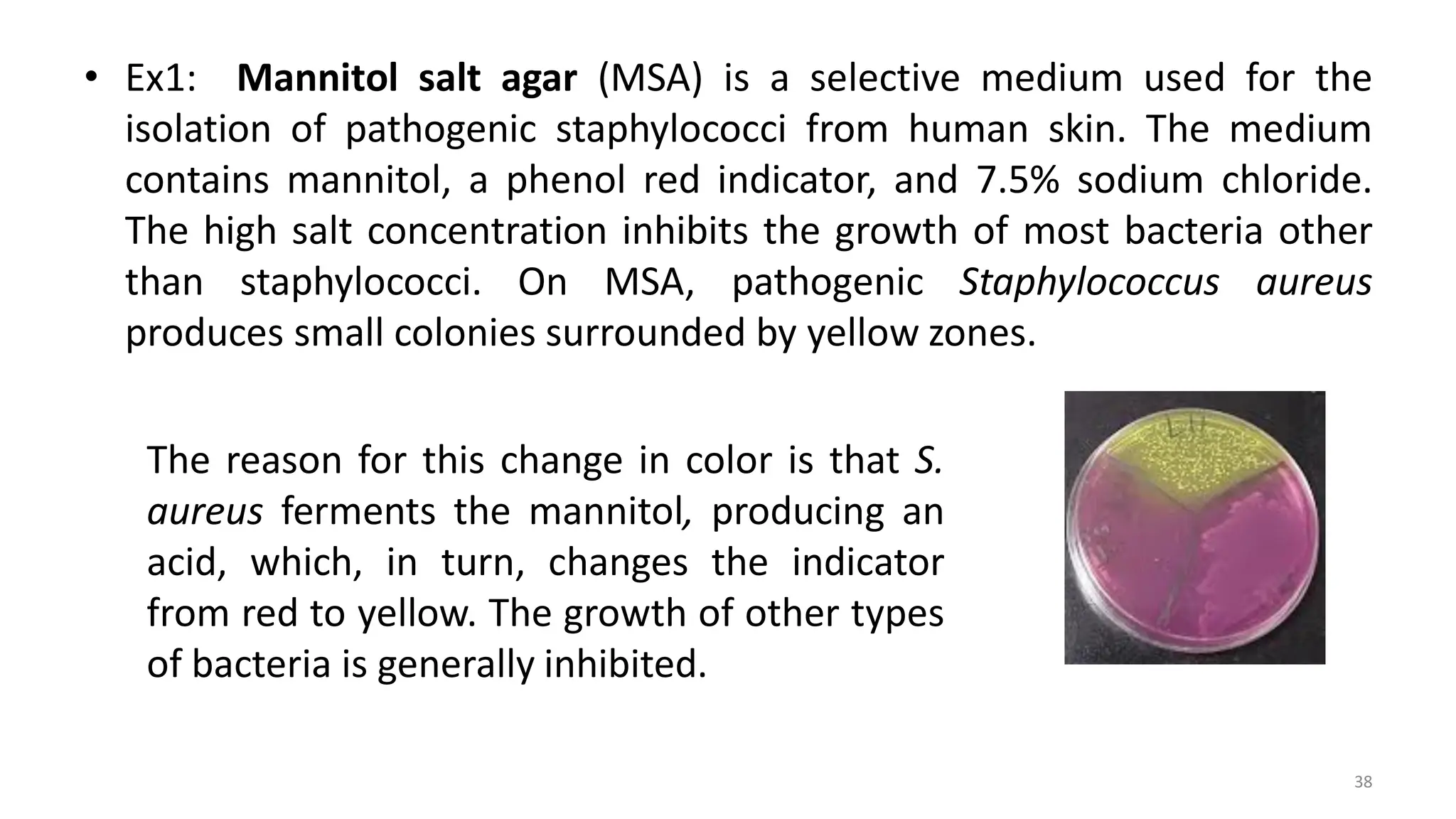 Requirements for Bacterial growth and development | PDF