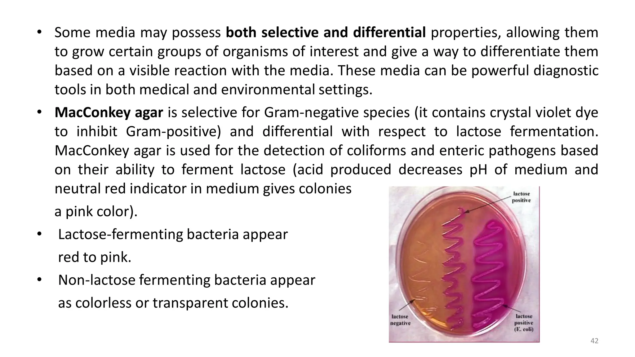 Requirements for Bacterial growth and development | PDF