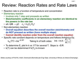 Comprehensive Review of Chemical Reaction Rates, Stoichiometry, and ...