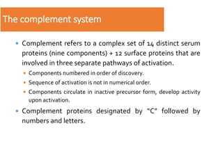 L4 Complement System.pdf