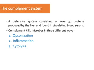 L4 Complement System.pdf