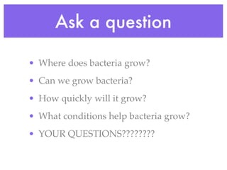 L4 culture a bacteria | PPT