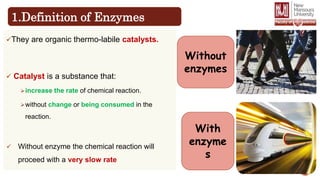 L4 Enzymes_c0ce65815f13d03a89ba6bc6e59f7ab4.pptx
