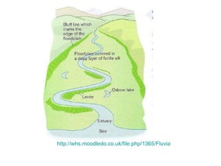 L4 Levees And Floodplains | PPT