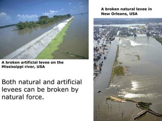Artificial Levee