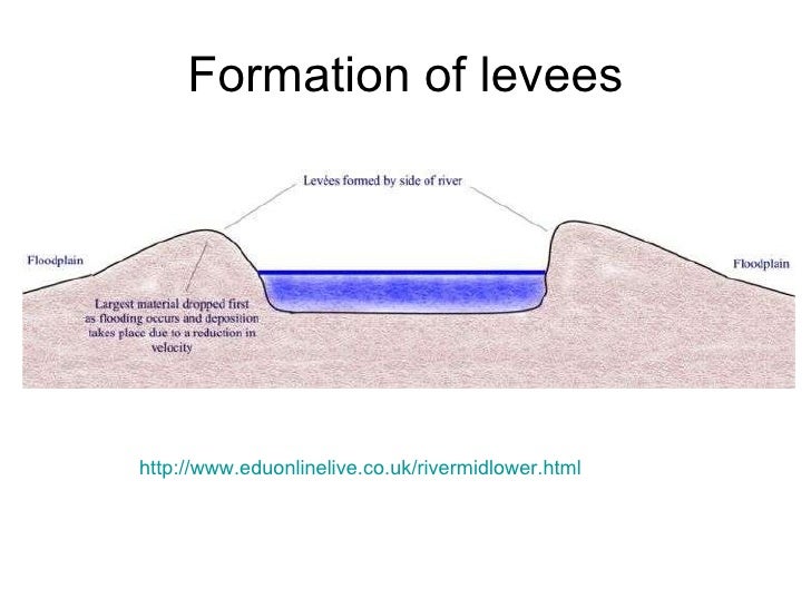 L4 Levees And Floodplains