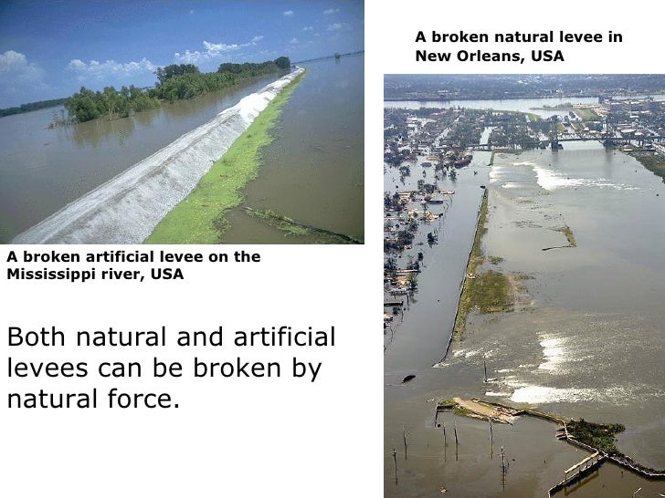 Artificial Levee Diagram