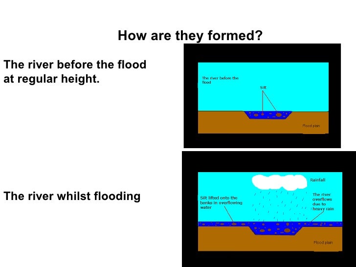 Artificial Levee Diagram