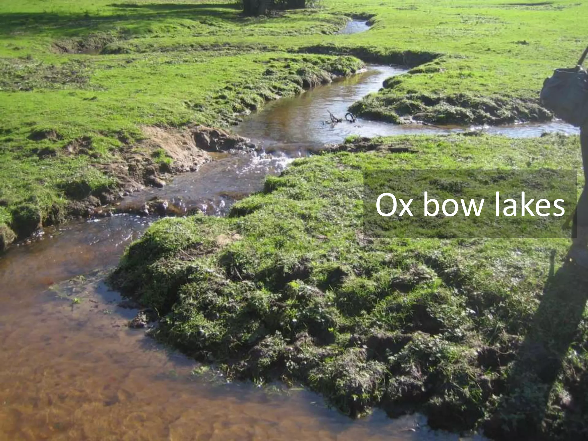 L4 meanders & ox bow lakes ap | PPTX