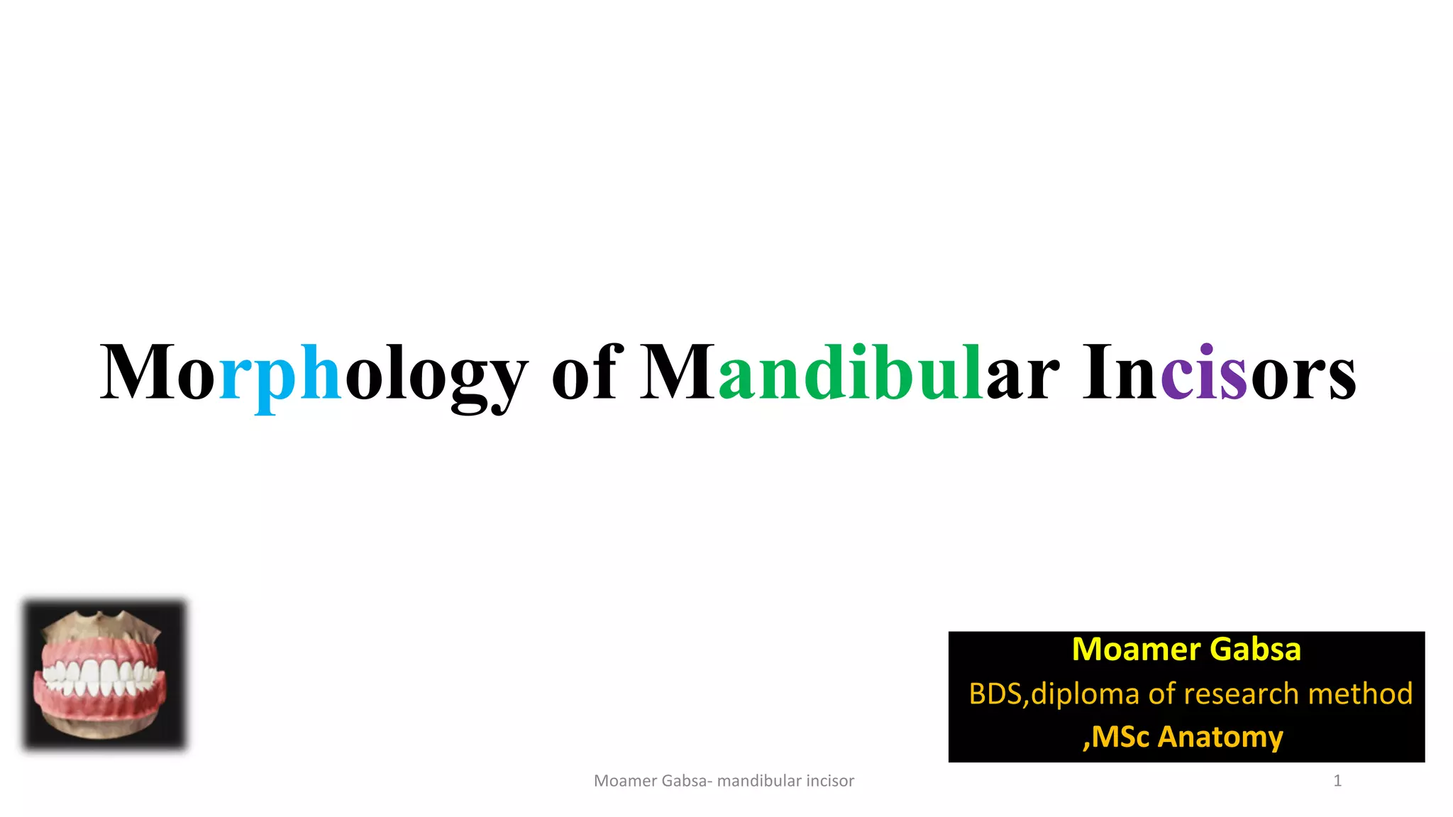 Morphology of mandibular incisors | PPT