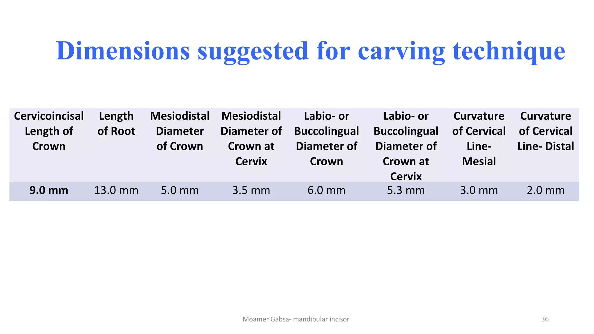 Morphology of mandibular incisors | PPT