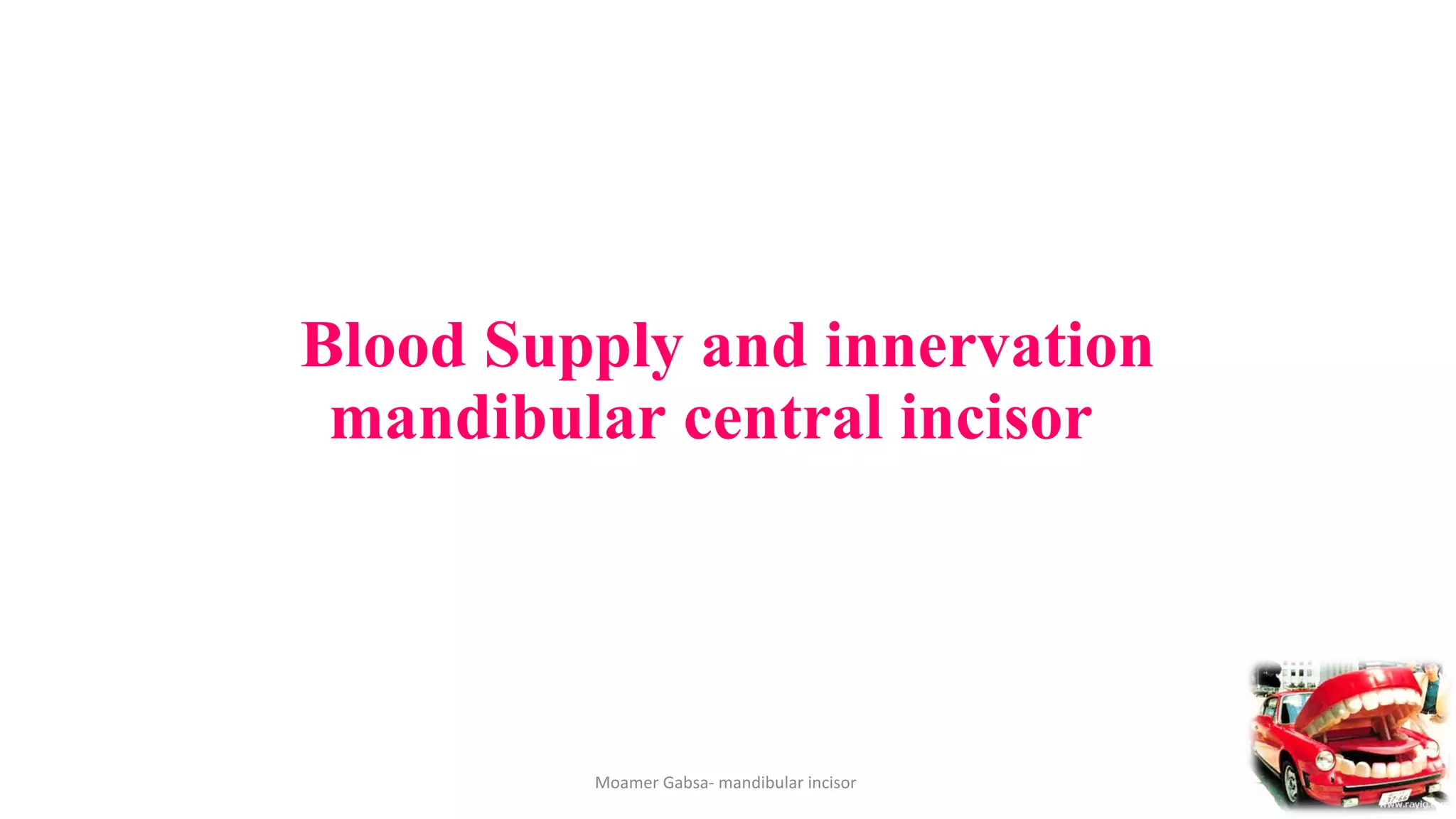 Morphology of mandibular incisors | PPT