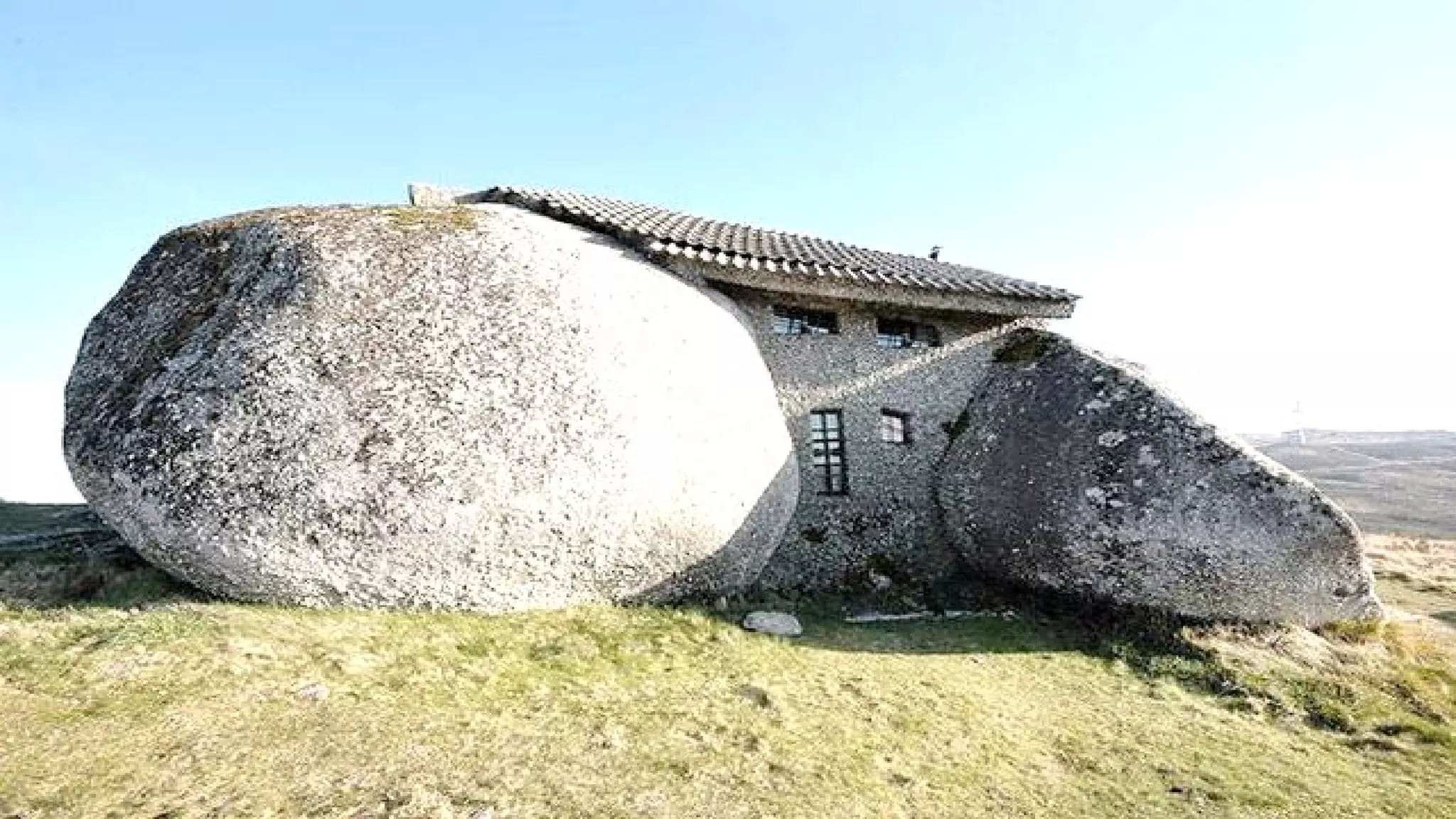 Morphology of mandibular incisors | PPT