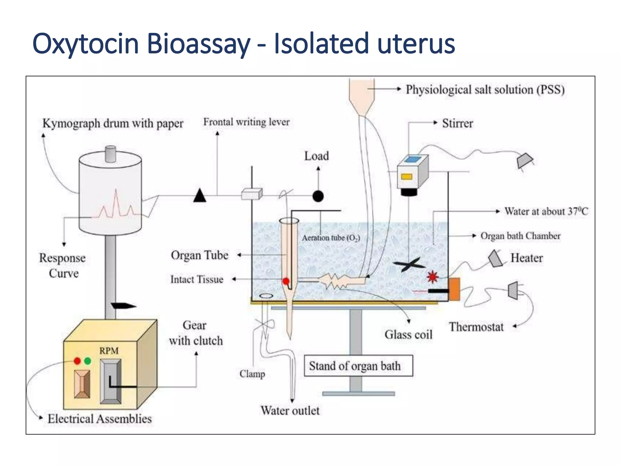 Oxytocin Bioassay Ppt
