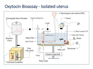 Oxytocin bioassay | PPTX