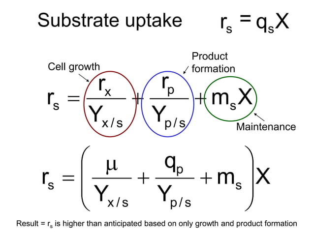 L4_Production_kinetics.ppt