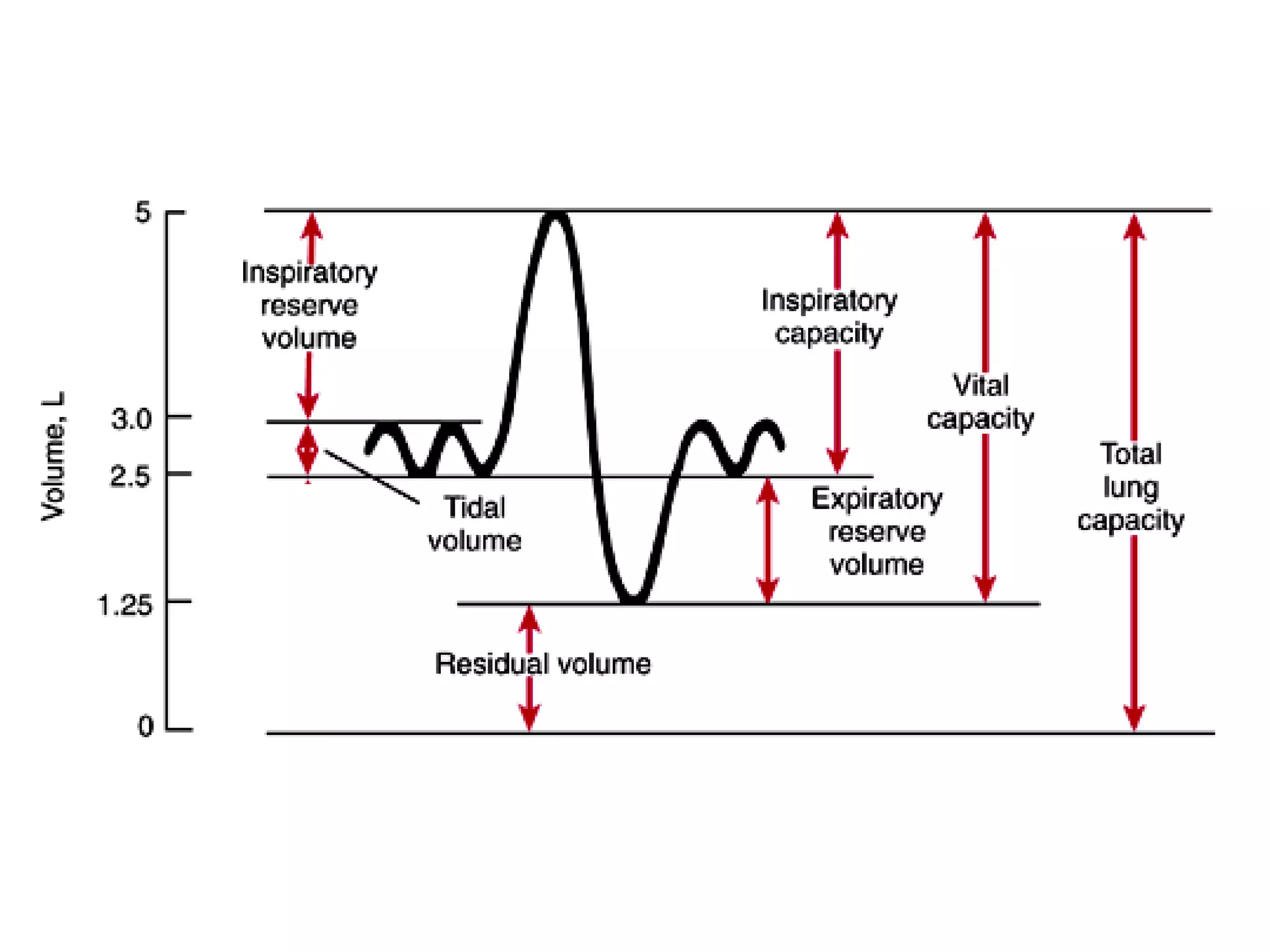 L4 spirometer | PPT