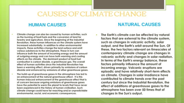social issues class 10 cbse mandatory project | PPTX