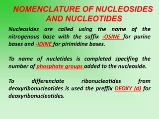 L5. NUCLEOTIDES.ppt