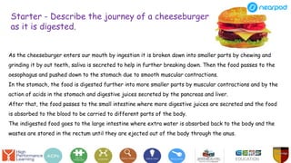 L5. Process of DigestionDigestionDigestion.pptx