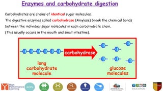 L5. Process of DigestionDigestionDigestion.pptx