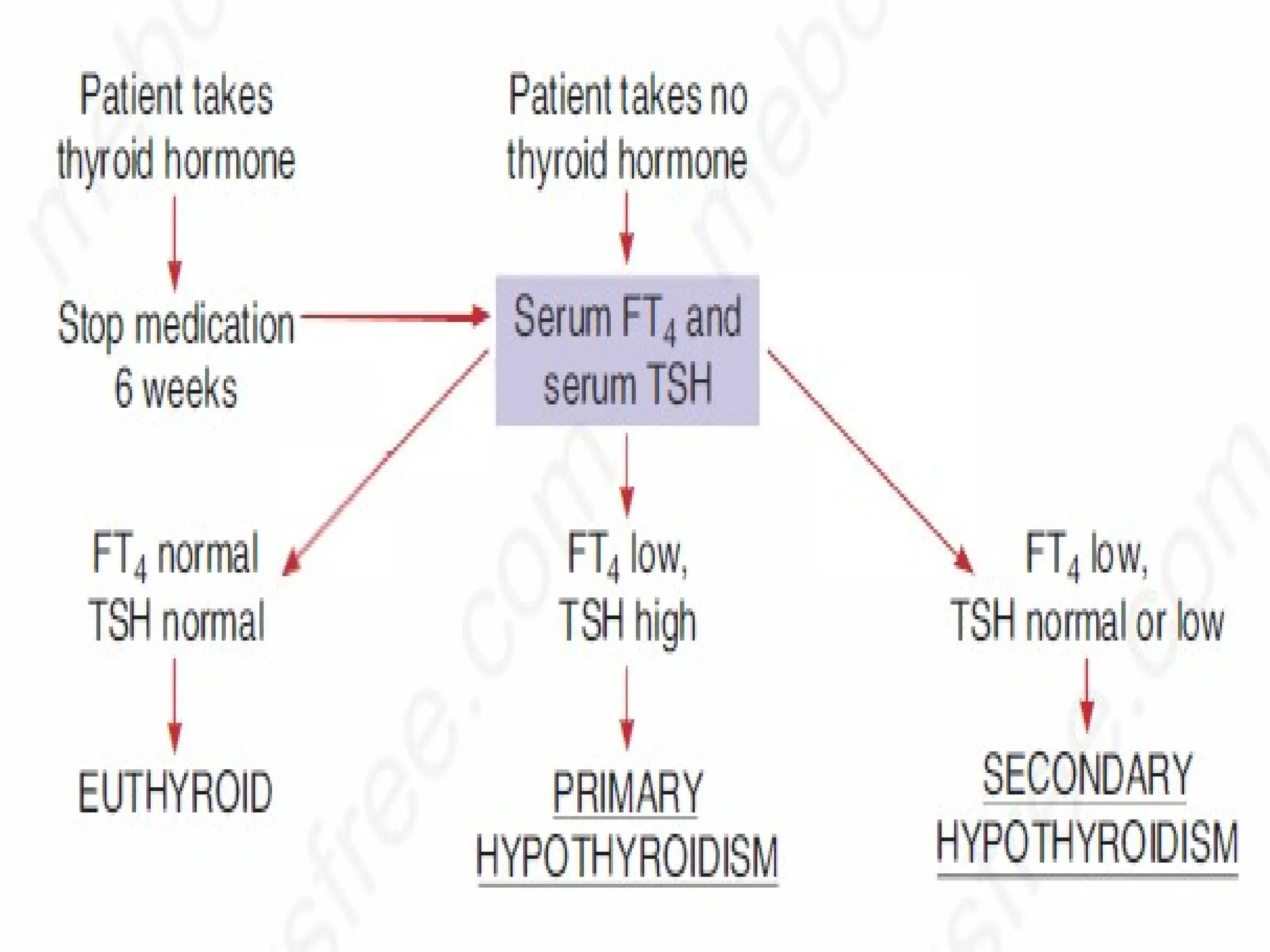 L5-6.DISORDERS of THYROID GLAND.....pptx