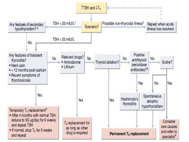 L5-6.DISORDERS of THYROID GLAND.....pptx
