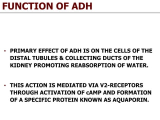 Diabetes Insipidus. . . . . . . . . . . . . . . . | PPT