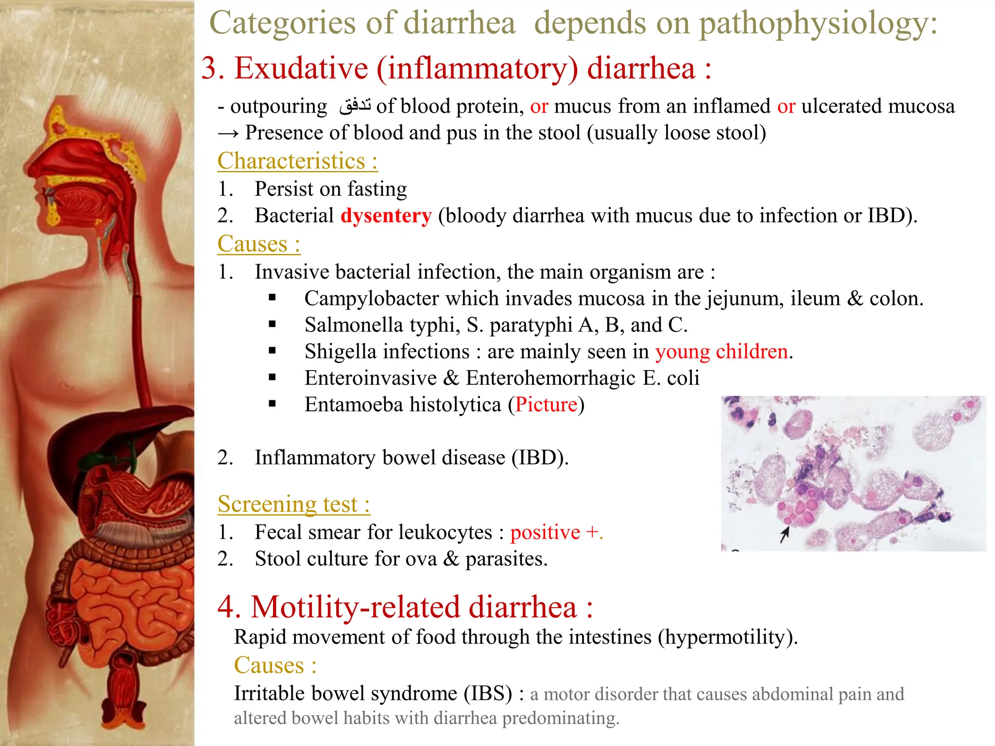 Diarrheal Disease and it's mechanism in Humans | PPT