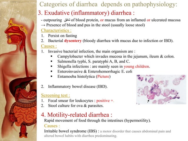Diarrheal Disease and it's mechanism in Humans | PPT