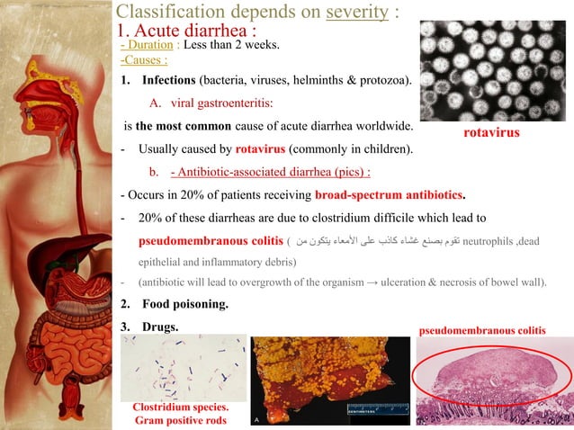 Diarrheal Disease and it's mechanism in Humans | PPT