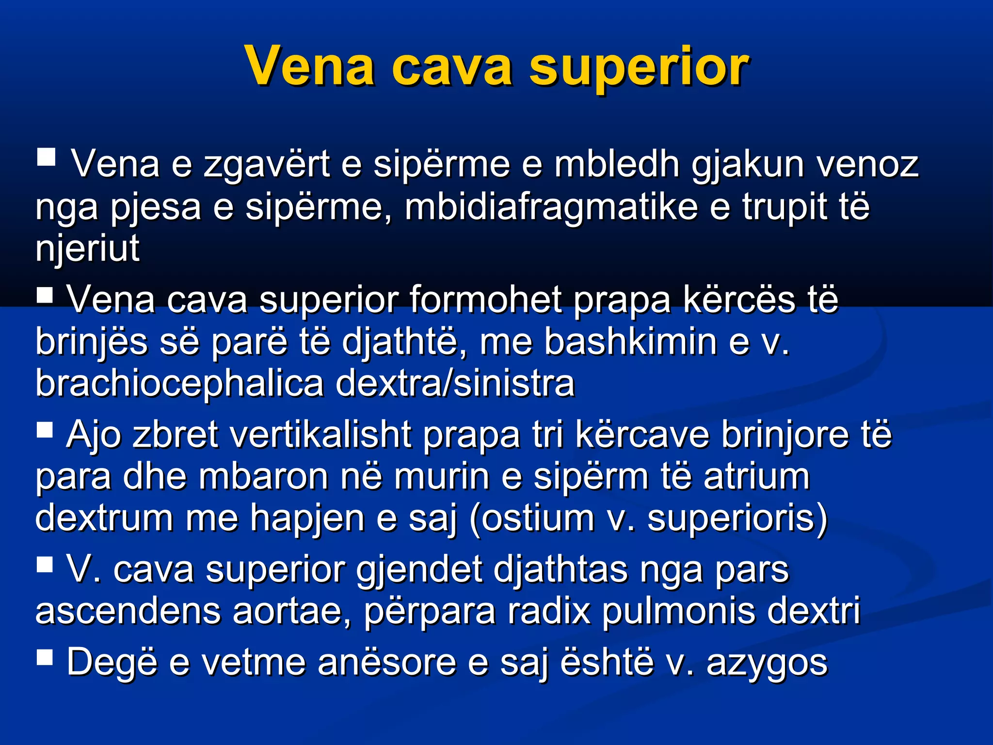 L5 enet e gjakut te zgavres se kraharorit | PPT