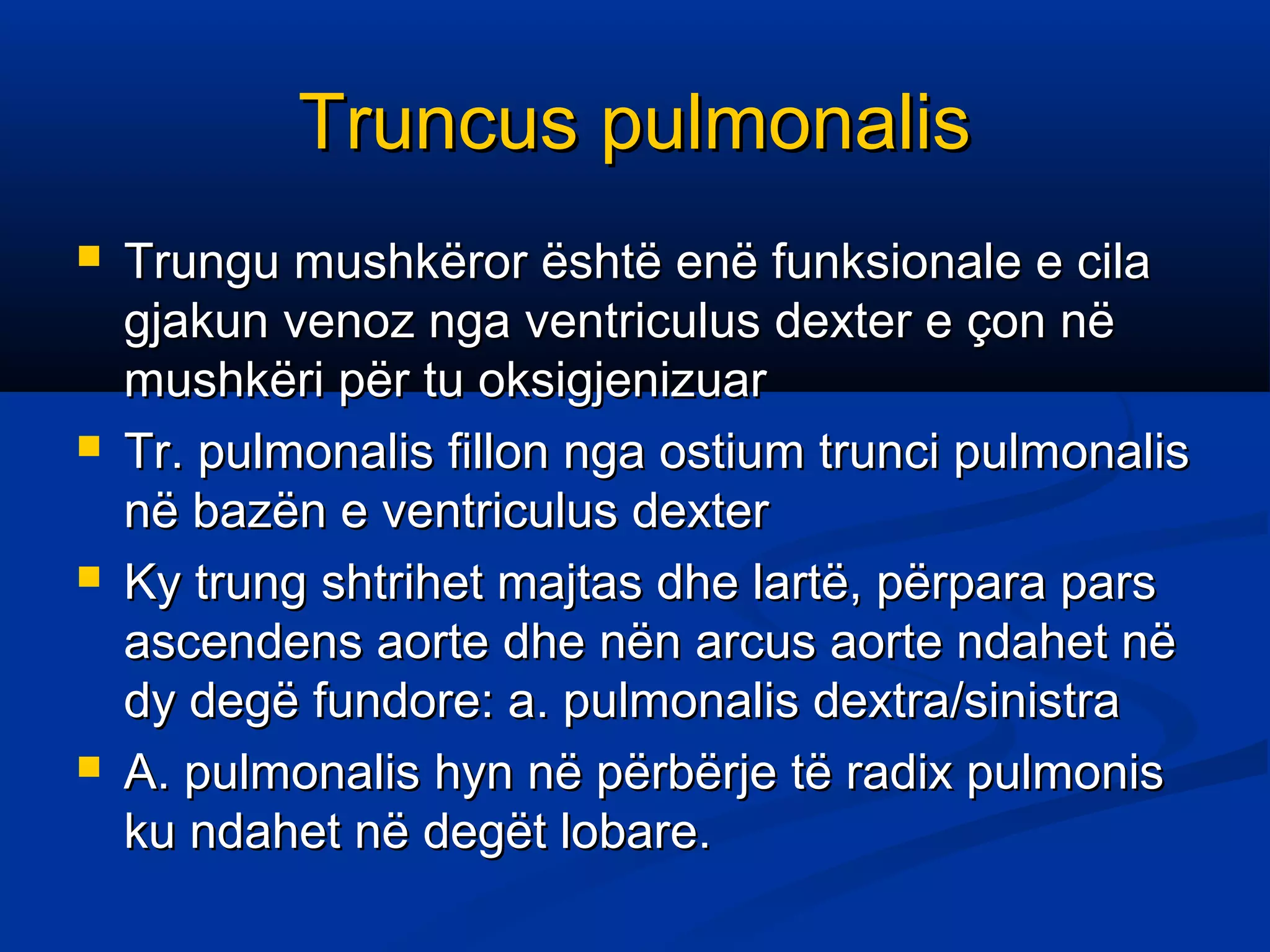L5 enet e gjakut te zgavres se kraharorit | PPT
