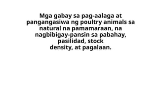 L5-Mga gabay sa pag-aalaga at pangangasiwa ng poultry animals .pptx