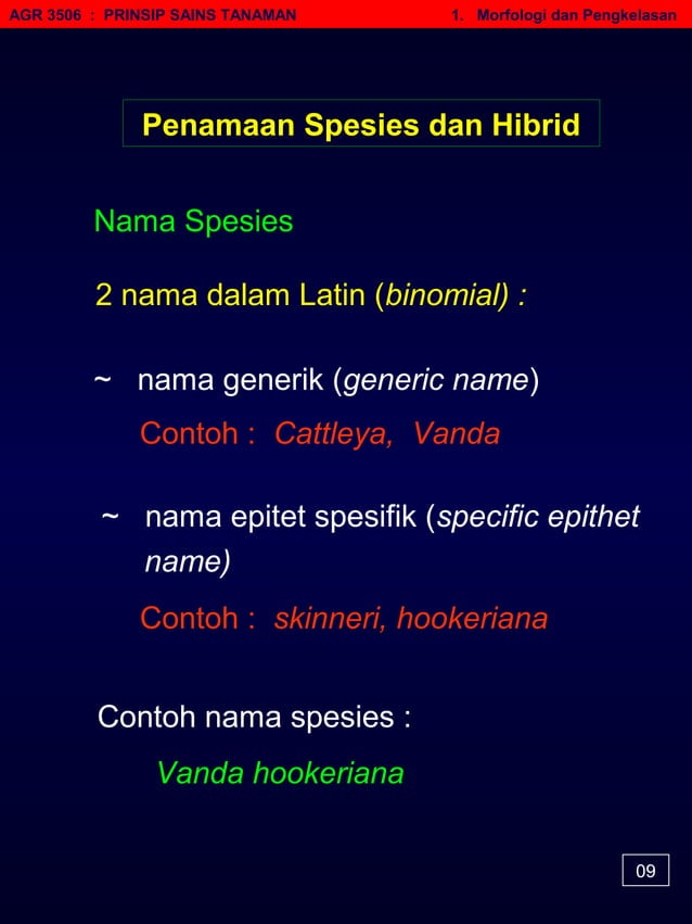 L5 morfologi-pengkelasan-1225591217539141-8 | PPT