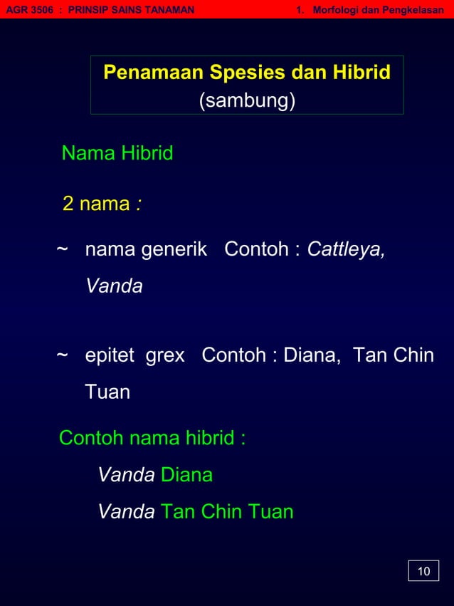 L5 morfologi-pengkelasan-1225591217539141-8 | PPT