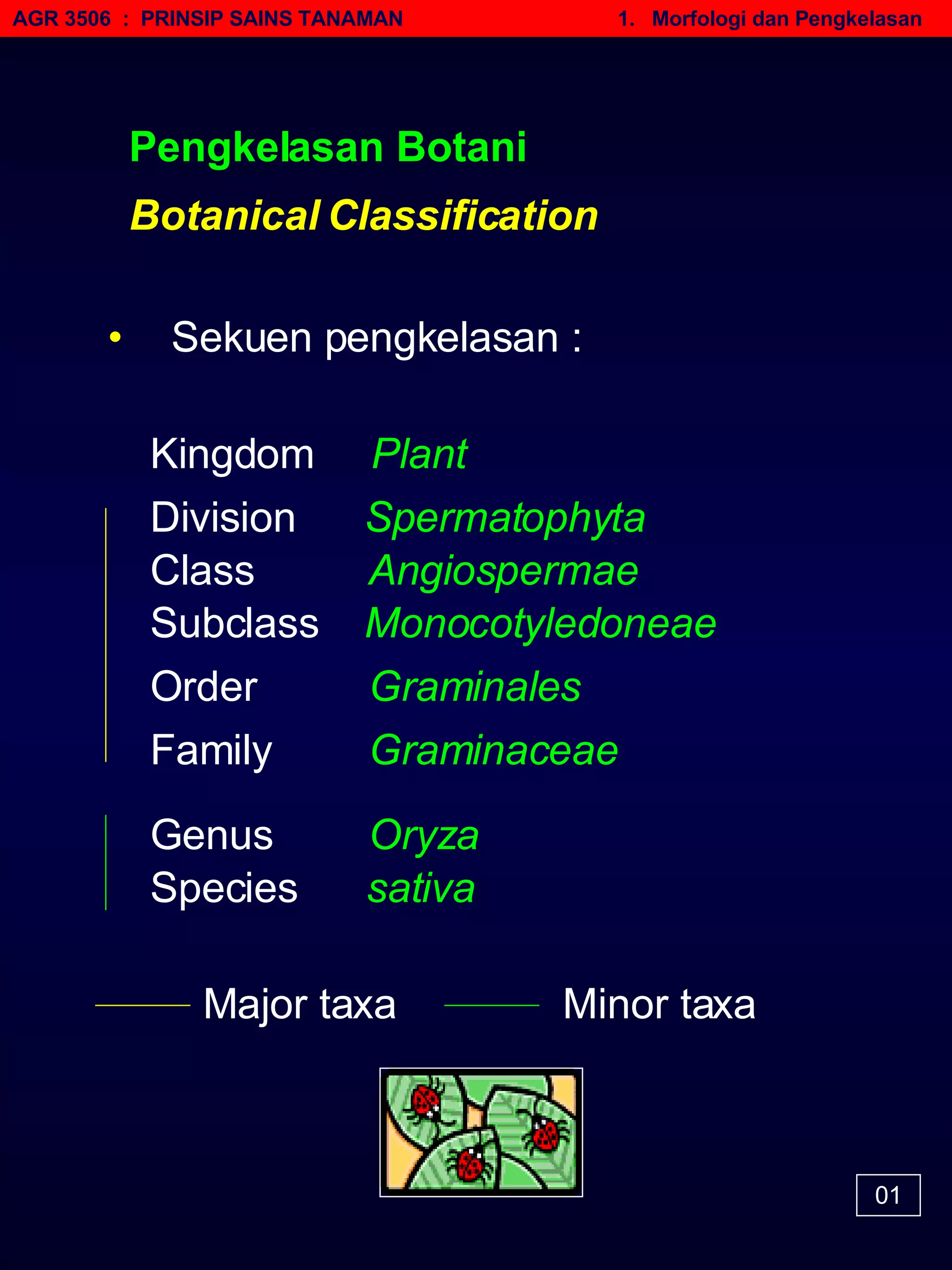 Morfologi & Pengkelasan (4) | PPT