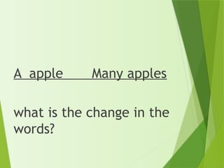Singular and plural Nouns _s and _es.pptx