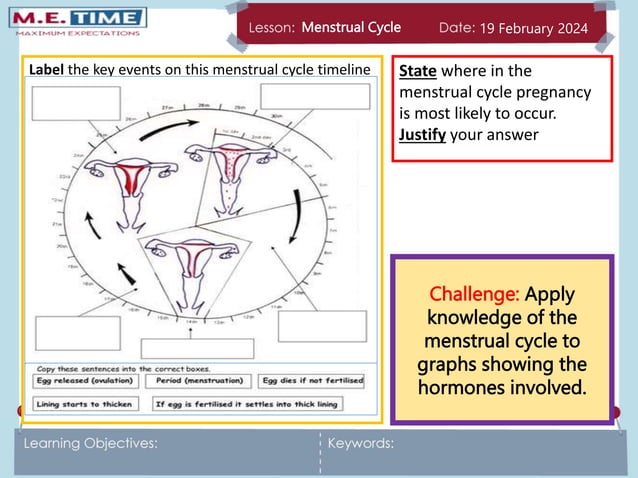 L5-The-menstrual-cycle.pptx for grade 10 | PPTX