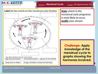 Reproductive System The Menstrual Cycle Pptx