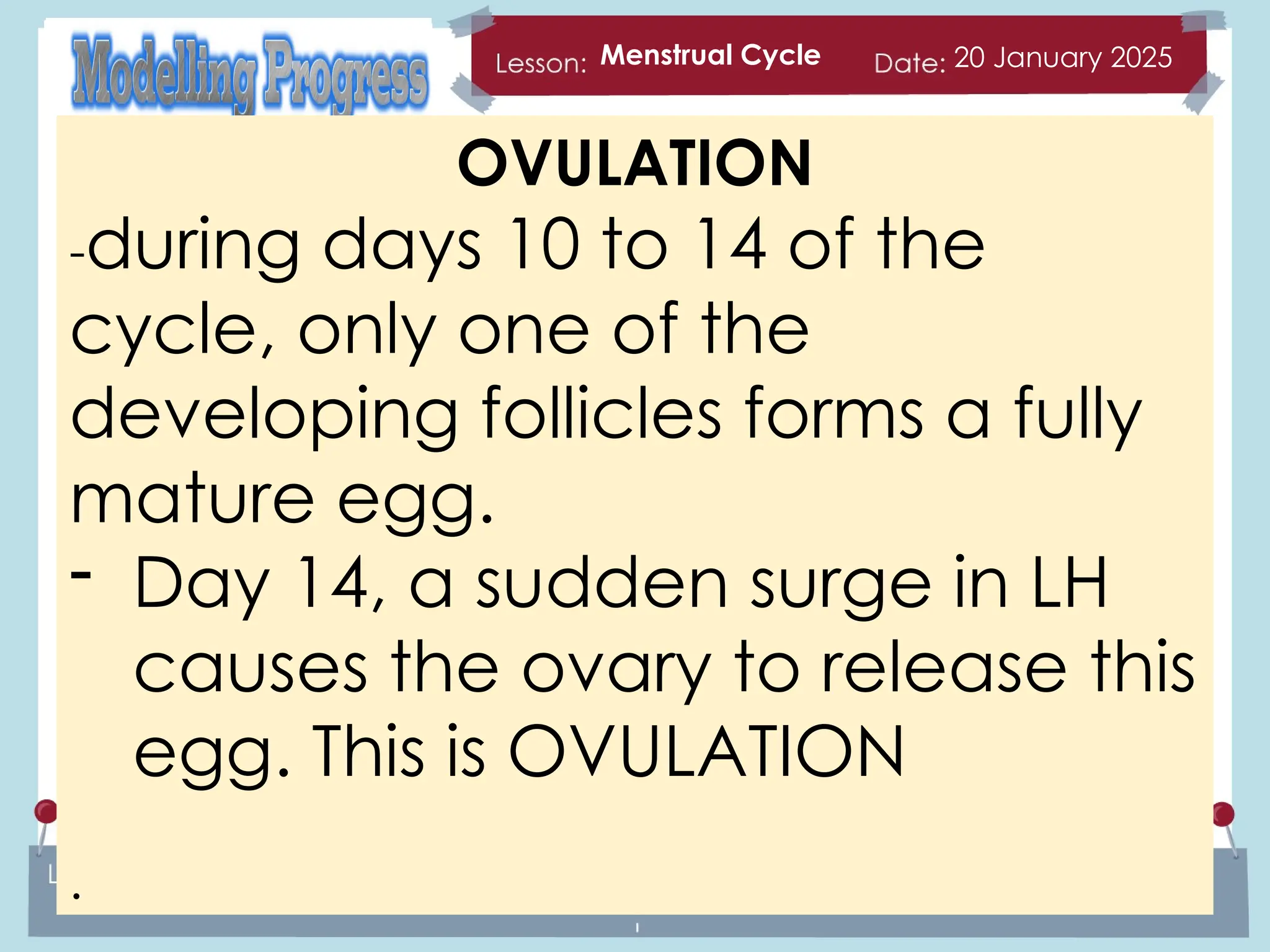 Module 2_Science 10_L5-The-menstrual-cycle.pptx