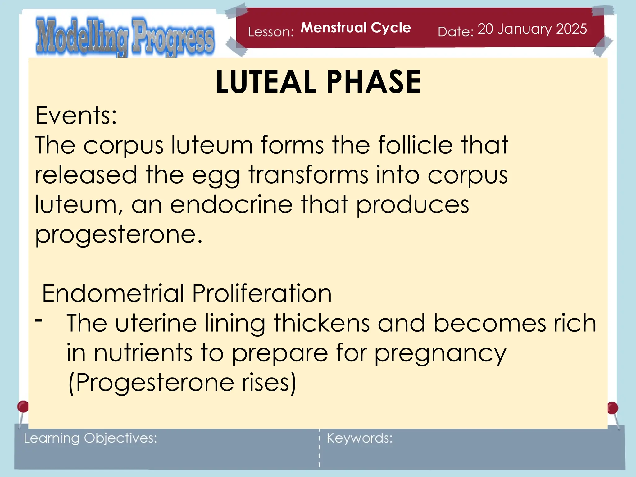 Module 2_Science 10_L5-The-menstrual-cycle.pptx