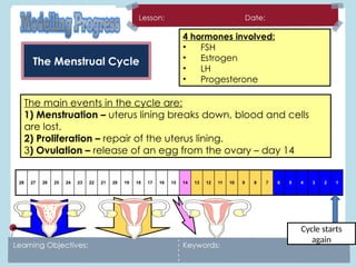 Module 2_Science 10_L5-The-menstrual-cycle.pptx