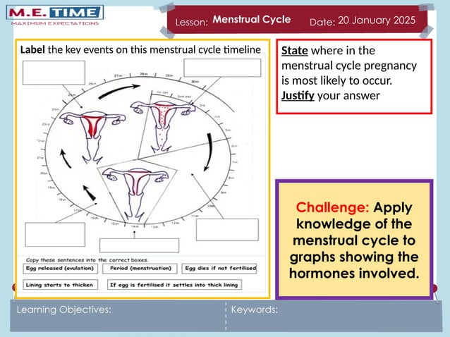 Module 2_Science 10_L5-The-menstrual-cycle.pptx