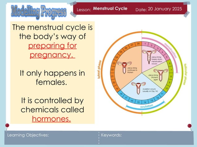 Module 2_Science 10_L5-The-menstrual-cycle.pptx